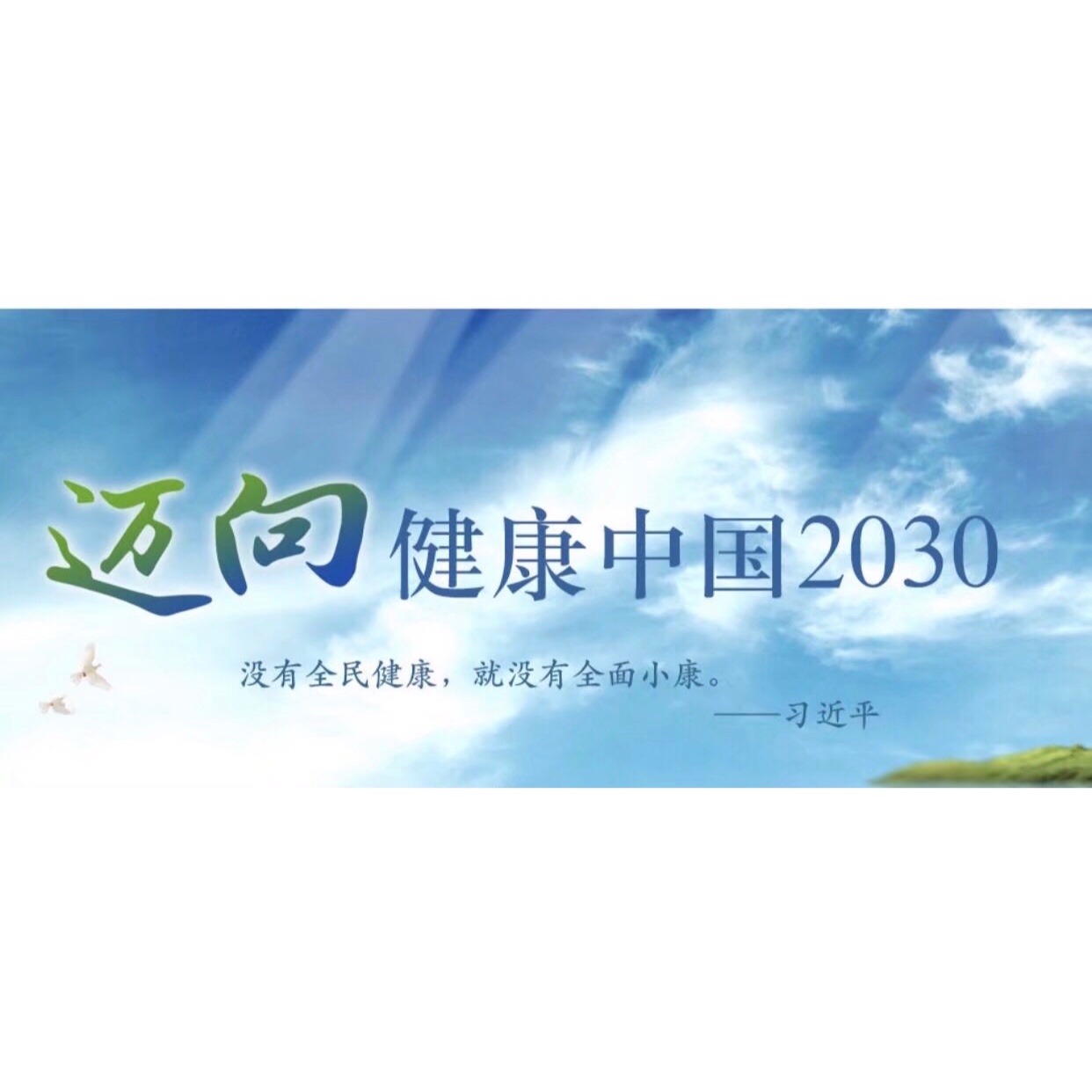 陈一一-VP-美国高瑞莱-FoodTalks个人主页