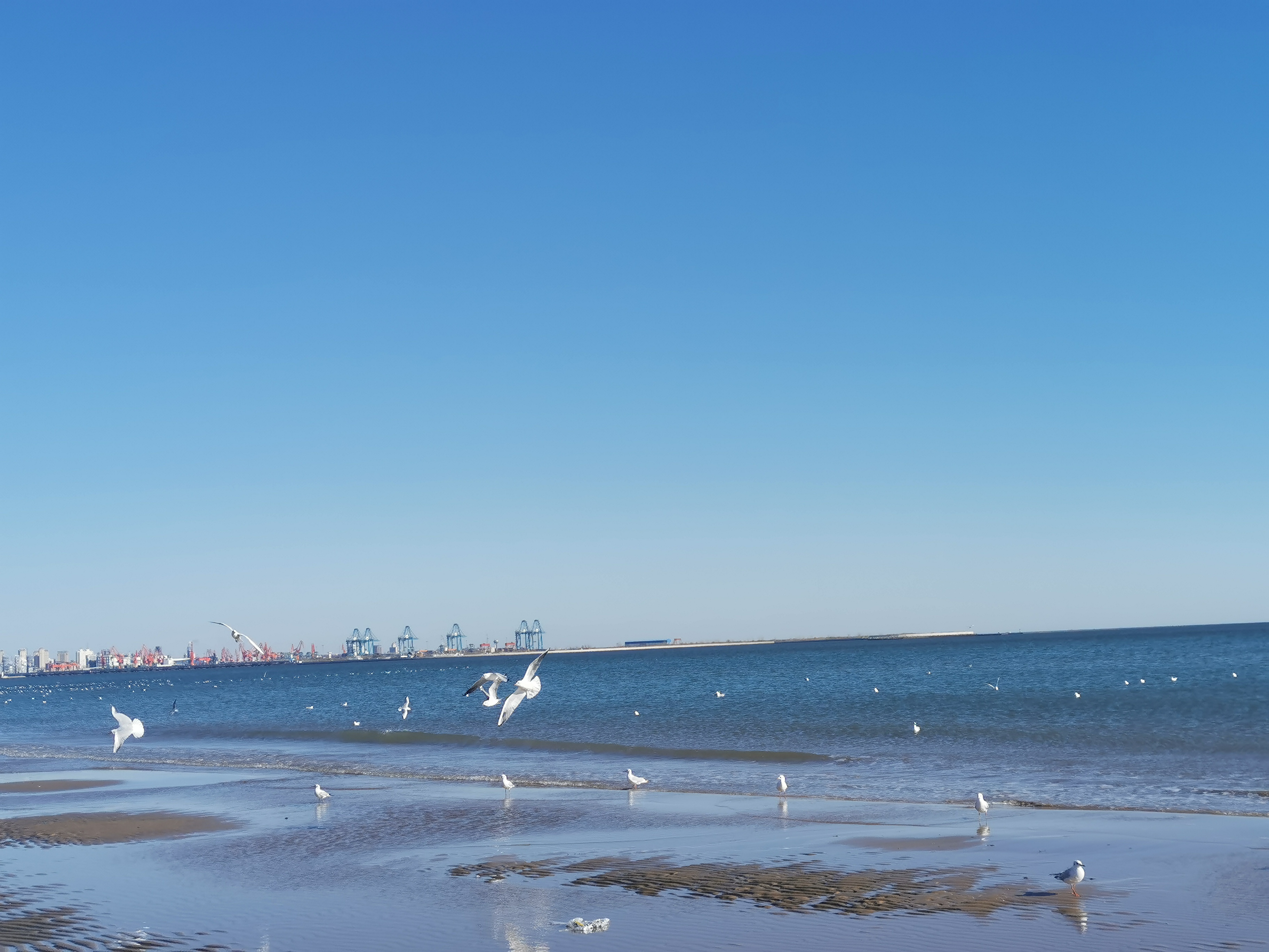 涤生_问渠管理咨询（天津）有限公司_经理-FoodTalks个人主页