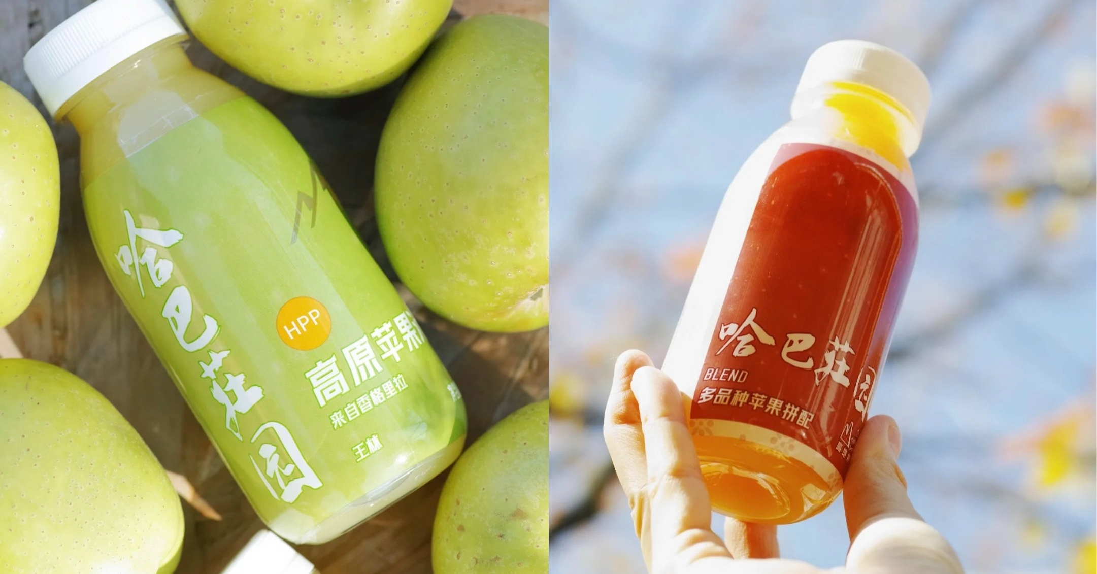 FoodTalks全球食品资讯