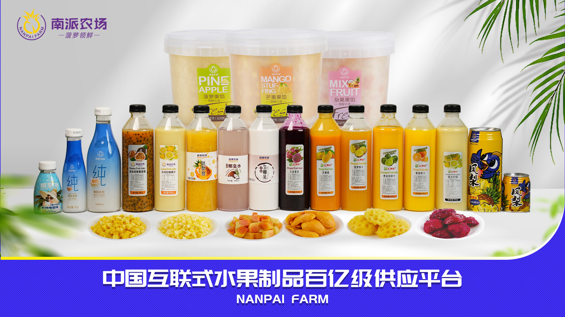 广东南派食品提供水果原汁和冷冻果 - FoodTalks食品供需平台