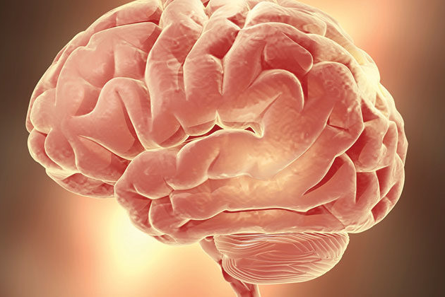 什么是PQQ？-FoodTalks全球食品资讯