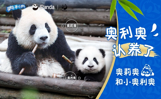 什么是奥利奥？-FoodTalks全球食品资讯