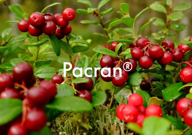 Pacran 蔓越莓提取物-奇华顿中国-FoodTalks食品产品库