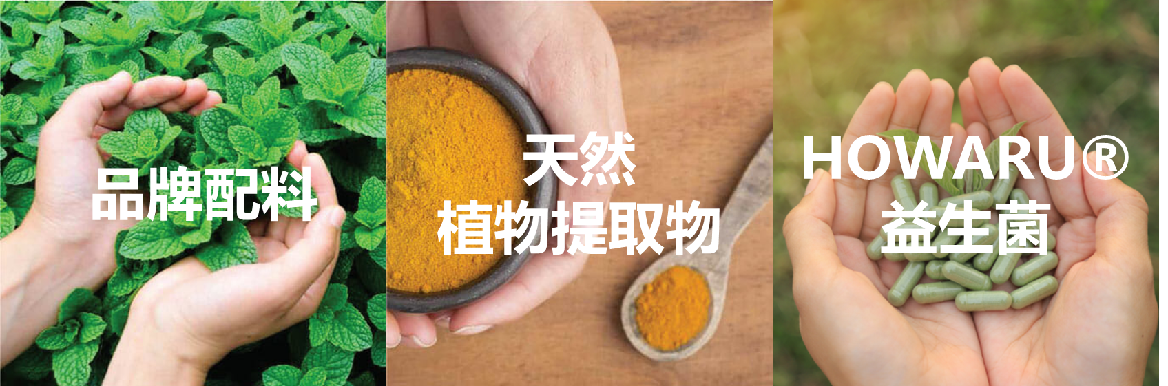 什么是IFF Health？-FoodTalks全球食品资讯