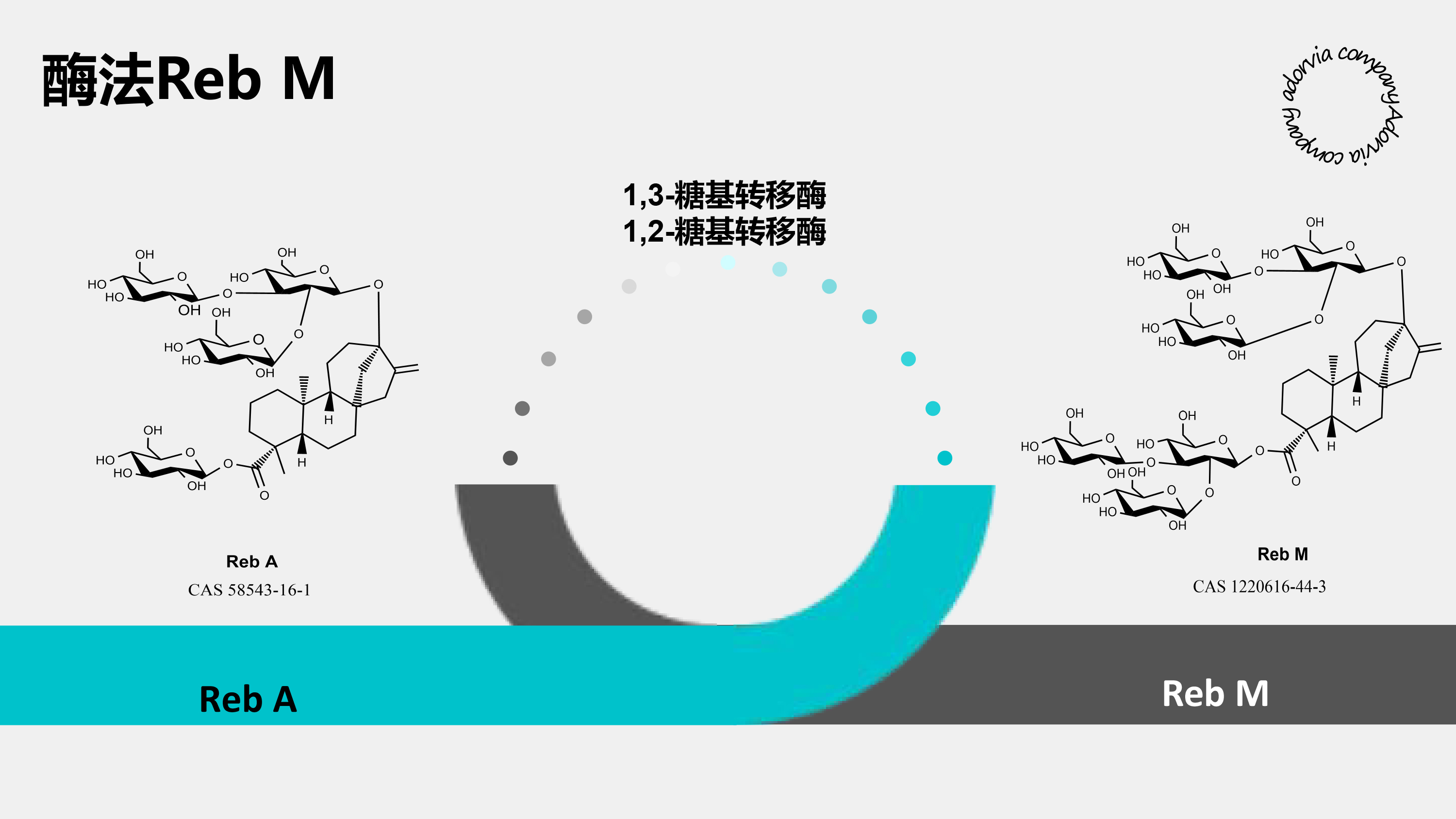 中国首家，甜菊糖革命性升级！弈柯糖酶转化Reb M是什么？-FoodTalks全球食品资讯