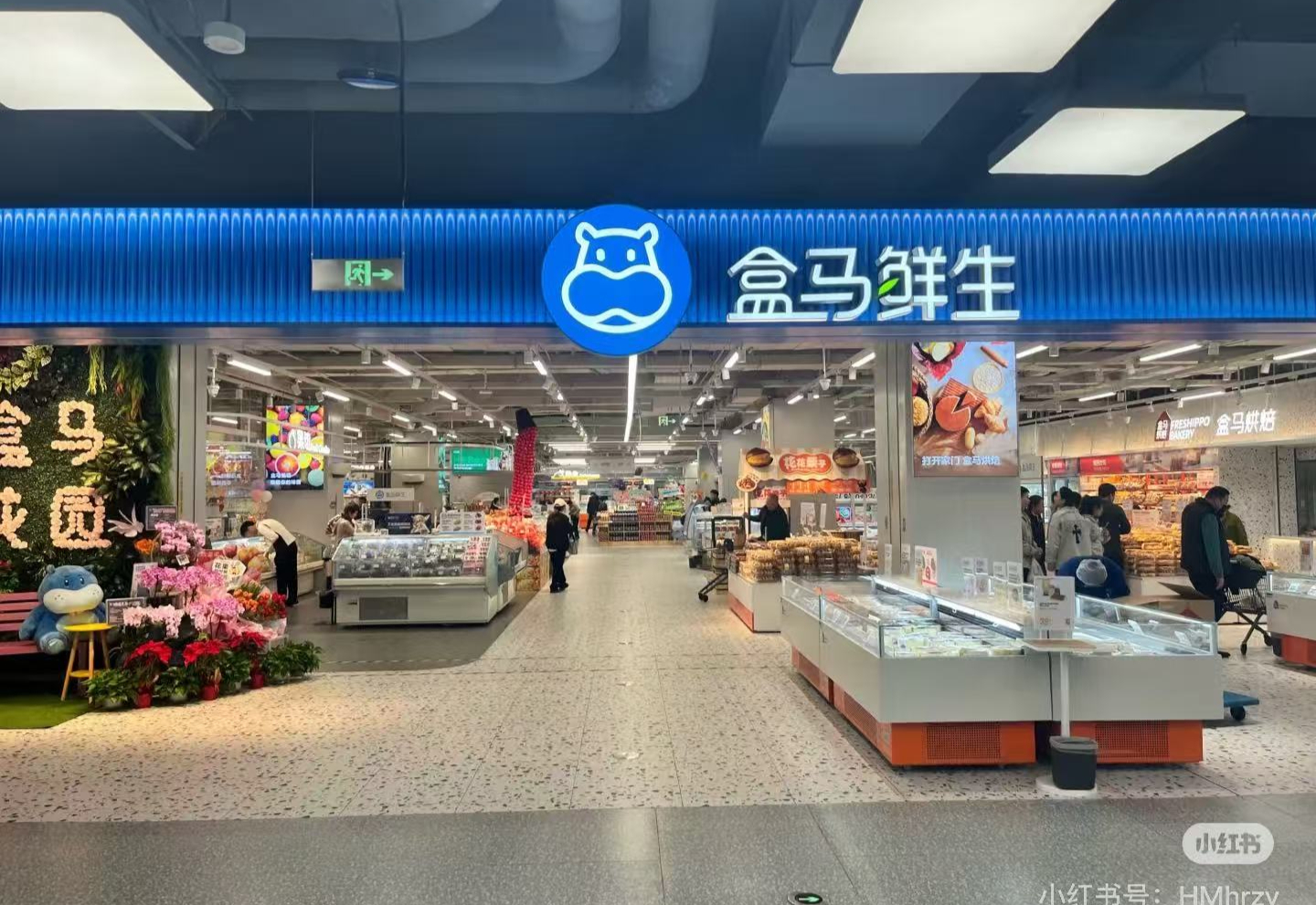 盒马官宣：全面开放加盟，6万即可开店！-FoodTalks全球食品资讯