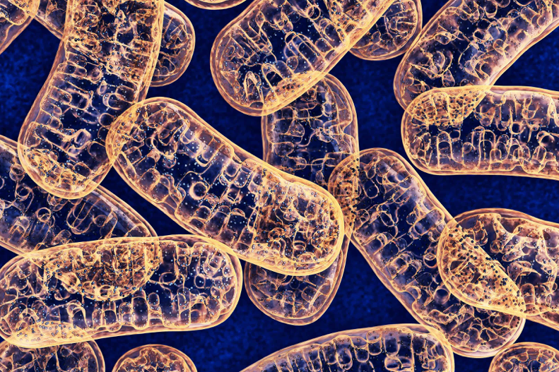 什么是PQQ？-FoodTalks全球食品资讯