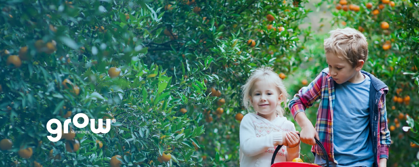 什么是IFF Health？-FoodTalks全球食品资讯