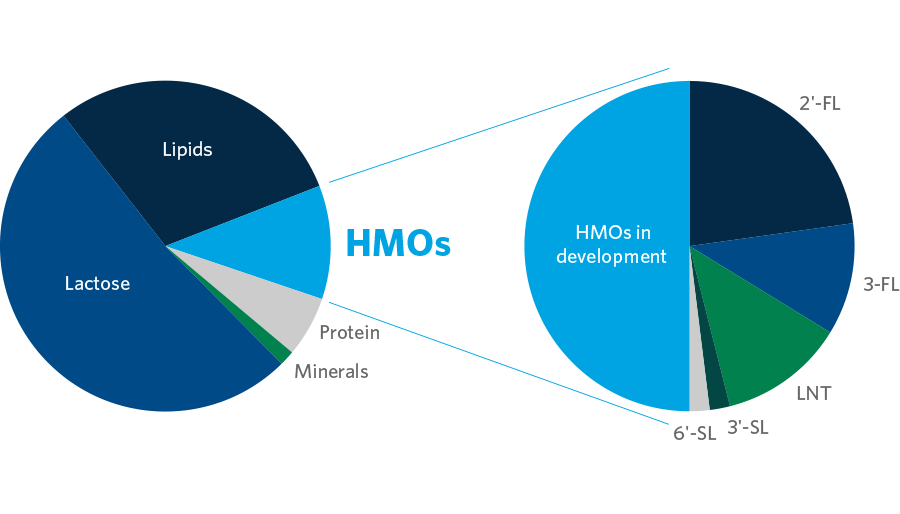 什么是HMOs（母乳低聚糖）？-FoodTalks全球食品资讯
