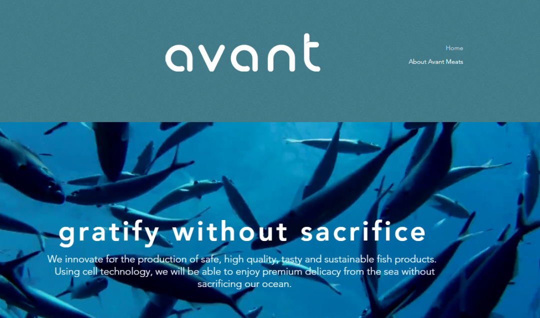 全球食品原料行业的未来趋势，深挖这13家初创企业就够了-FoodTalks全球食品资讯