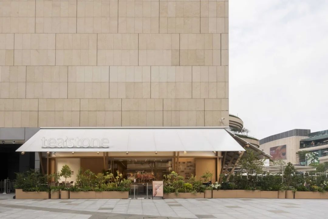 tea'stone：成都街头当代“茶铺”，喝出中国茶“背后功夫”-FoodTalks全球食品资讯