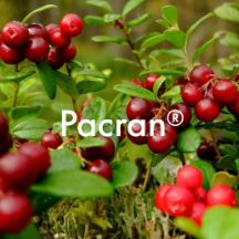 Pacran 蔓越莓提取物-奇华顿中国-FoodTalks食品产品库