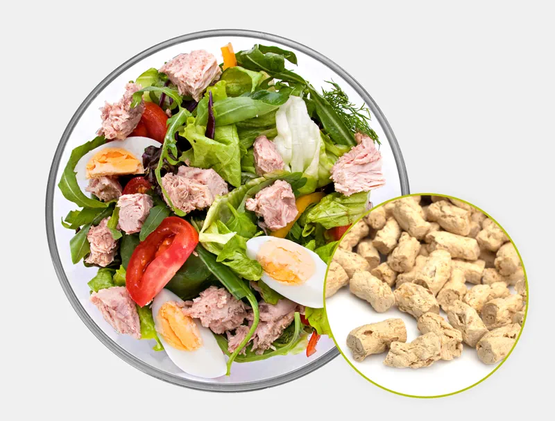 罗盖特NUTRALYS®系列新增有机豌豆和蚕豆组织蛋白-FoodTalks全球食品资讯