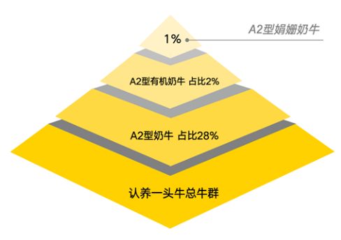 什么是认养一头牛A2型牛奶？-FoodTalks全球食品资讯
