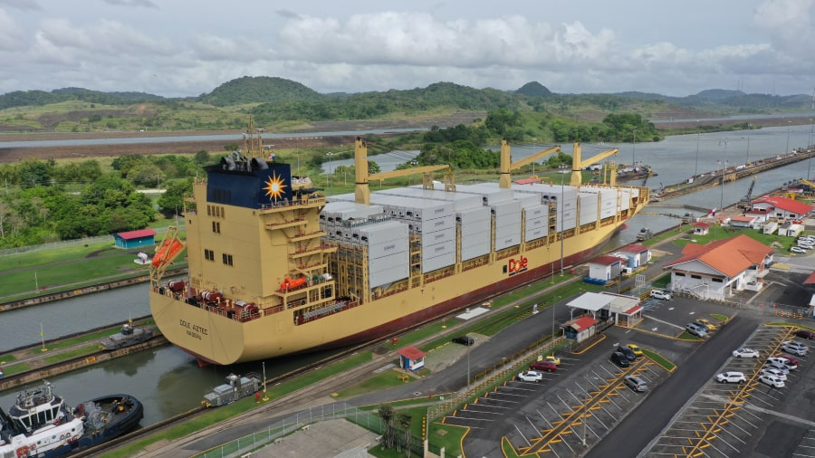 Dole's Global Rise: A Century of Transformation from a Hawaiian Island ...