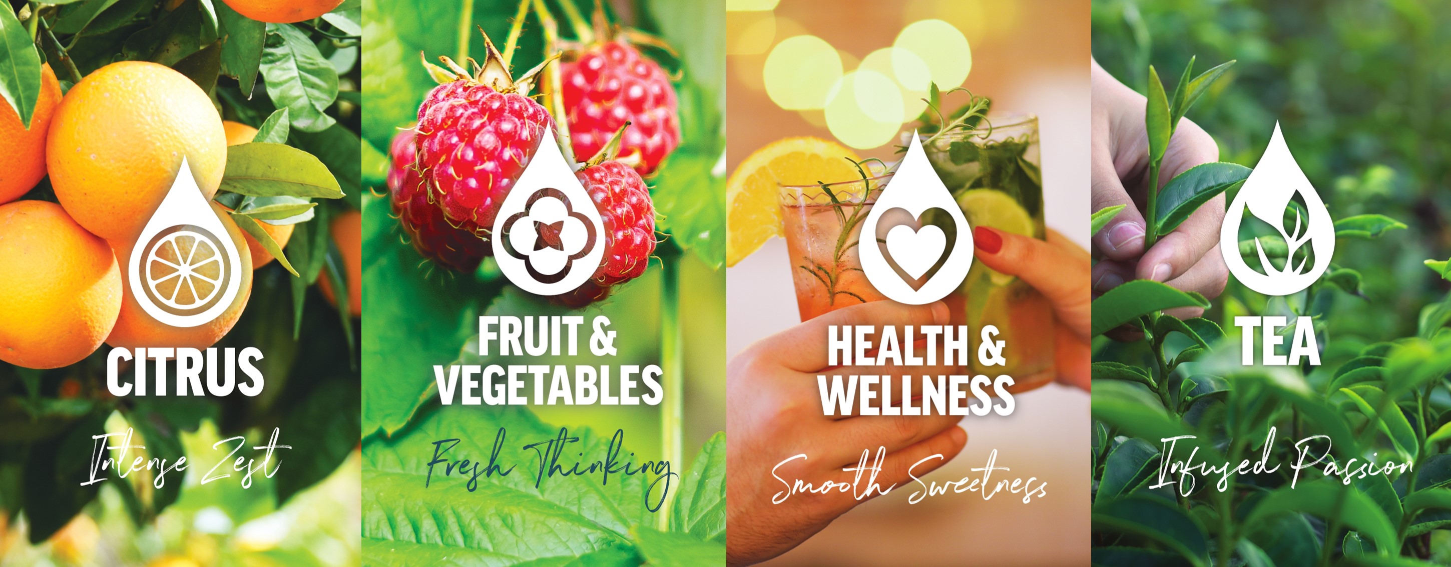 TREATT 萃特，确认参展！| FBIF食品创新展-FoodTalks全球食品资讯