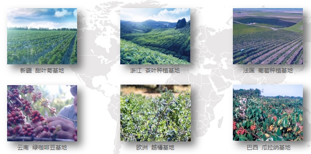 浙江天草生物科技股份有限公司 - FoodTalks食品供需平台