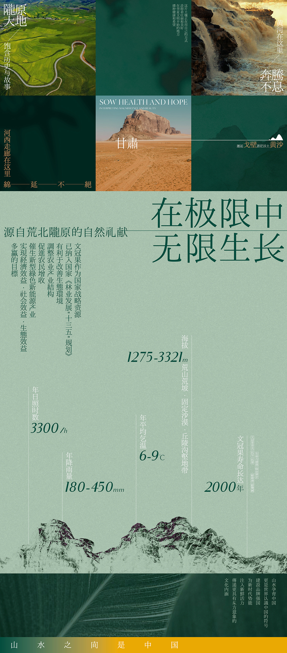 Hellolink品牌策划颜究院提供高端茶礼盒油礼盒设计服务 - FoodTalks食品供需平台