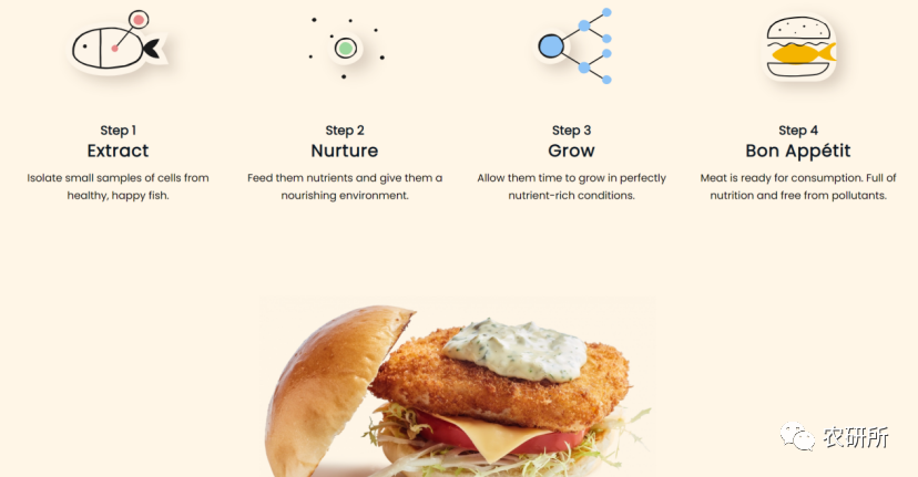 细胞培植鱼肉公司Avant Meats融资1080万美元，用于产品推广销售-FoodTalks全球食品资讯