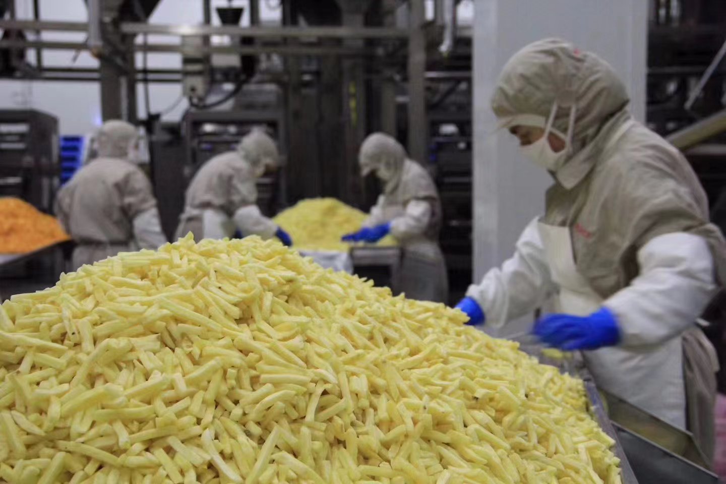 袋鼠妈妈健康零食连锁提供VF薯条 - FoodTalks食品供需平台