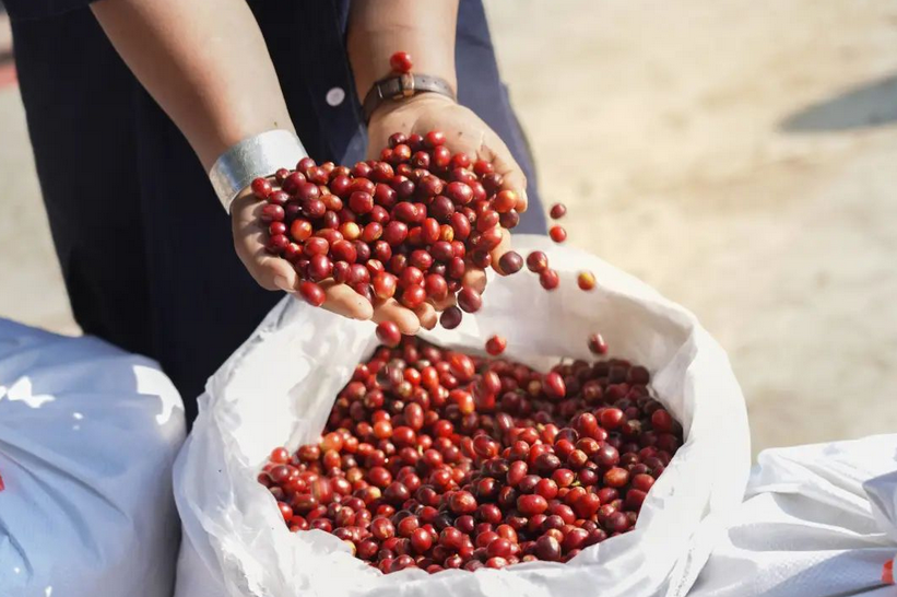 库迪咖啡8个月开店4000家！-FoodTalks