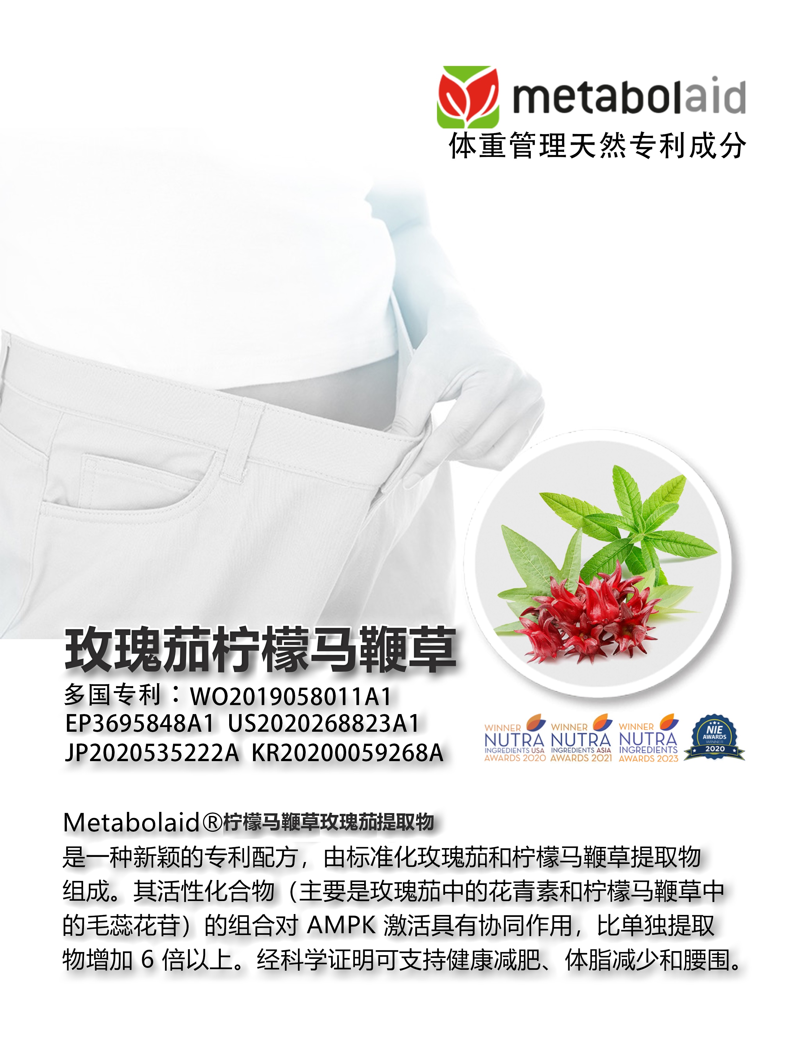 格莱德健康科技股份提供Metabolaid柠檬马鞭草玫瑰茄粉 - FoodTalks食品供需平台