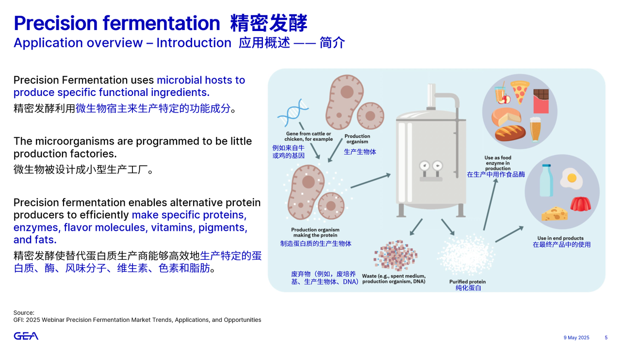 Precision Fermentation: Revolutionary Technology Driving the Future of ...