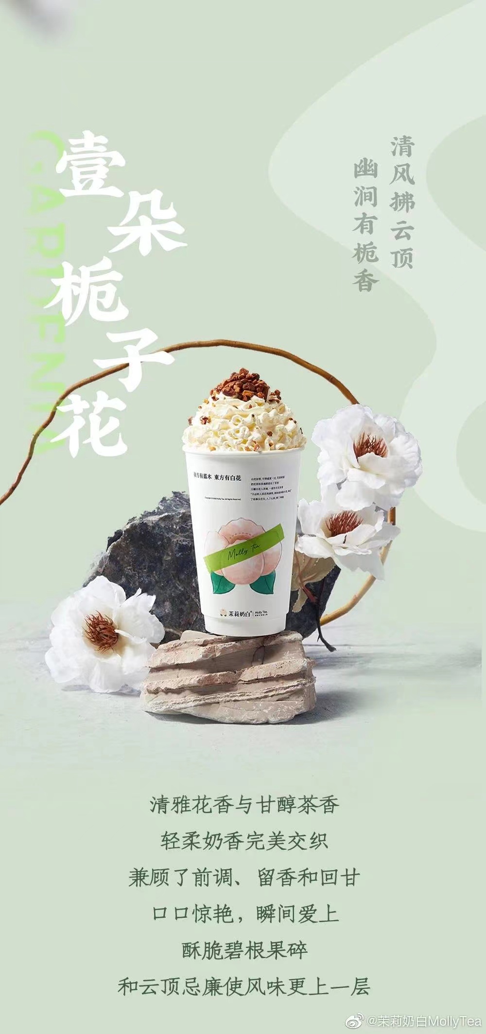 新中式茶饮品牌「茉莉奶白」完成数千万天使轮融资-FoodTalks全球食品资讯