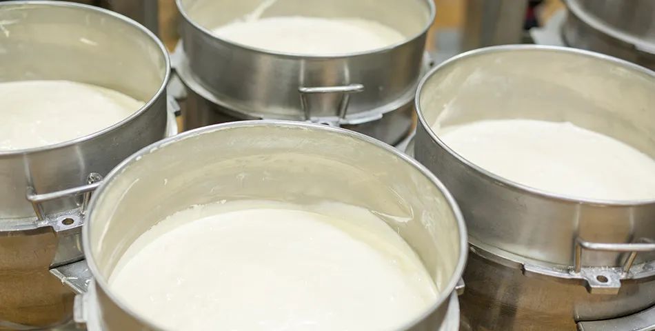 这款在日本年年岁岁不衰的蛋糕，单品就养活了无数品牌-FoodTalks全球食品资讯