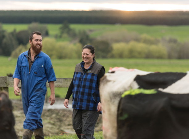 恒天然与雀巢联合打造新西兰首个净零碳排放牧场-FoodTalks全球食品资讯