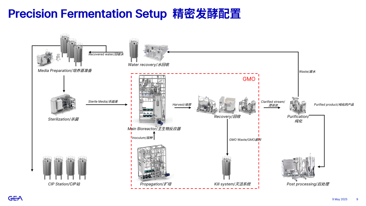Precision Fermentation: Revolutionary Technology Driving the Future of the Food Industry | FoodTalks