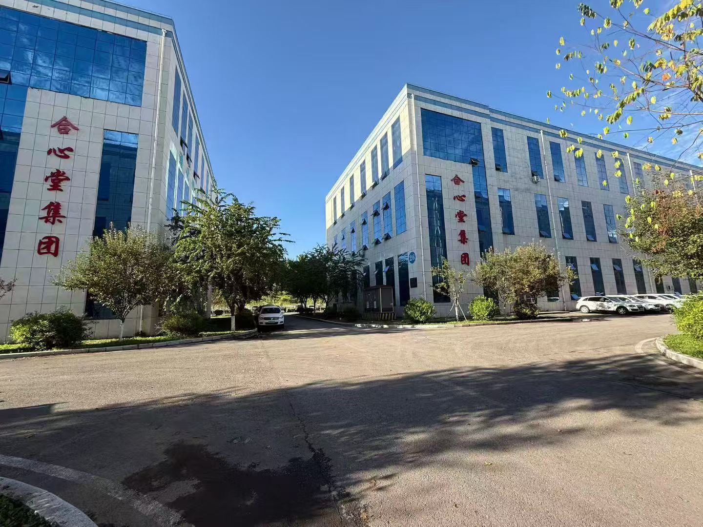 吉林通化合心堂药业集团公司提供膏滋、压片糖果、胶囊、丸剂OEM - FoodTalks食品供需平台