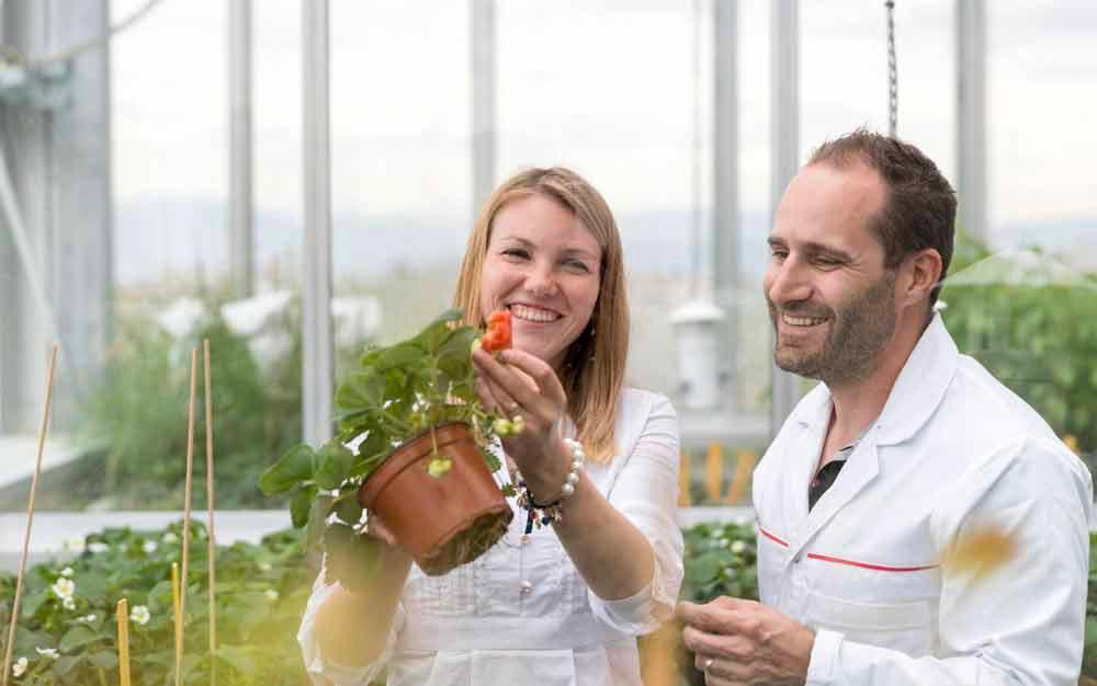 Swiss food technology company launches natural bio-coating to extend ...