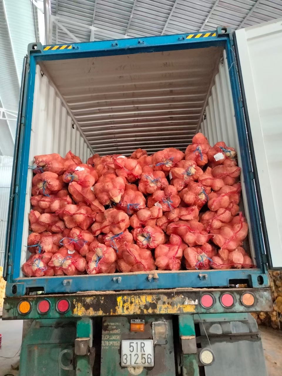 广州东沣公司提供优质越南老椰子 - FoodTalks食品供需平台