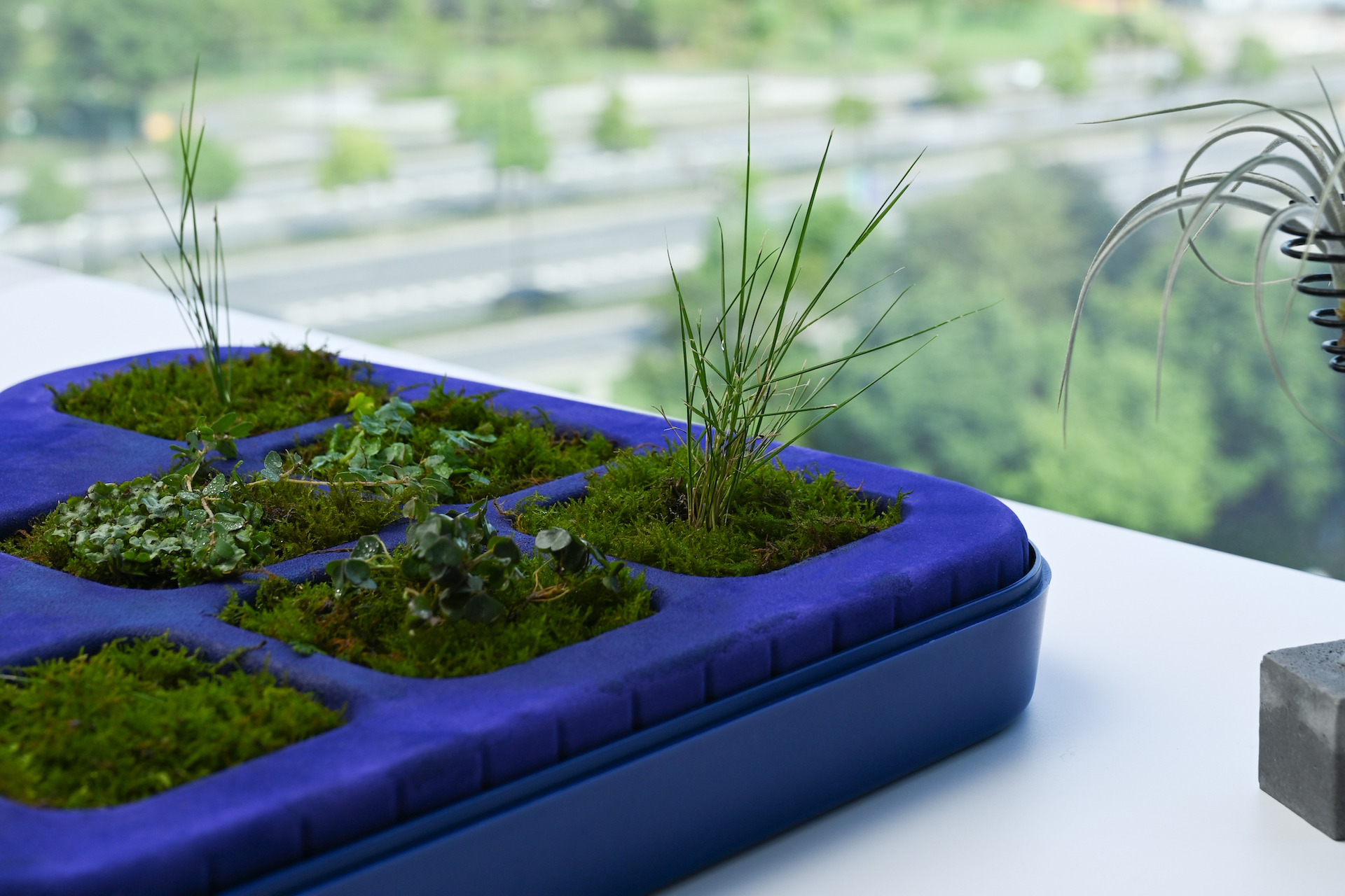 熟道X碧桂园-颂月祈愿 ·中秋礼-undefined-FoodTalks食品产品库