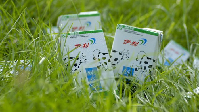 Yili Group's Road to Globalization: From the Grassland to the World's ...