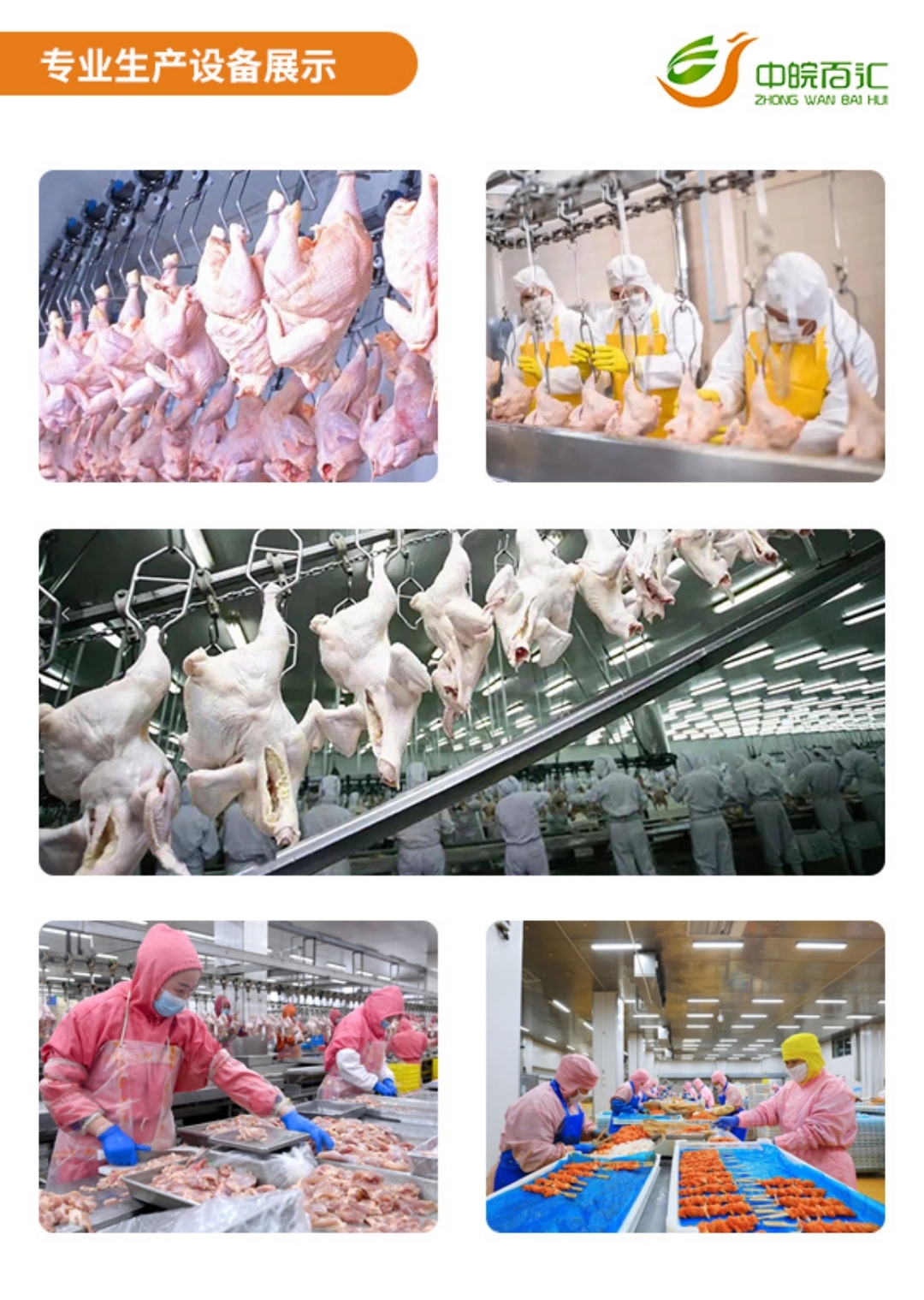 宿州市百汇食品提供禽肉类、烤肠类OEM - FoodTalks食品供需平台