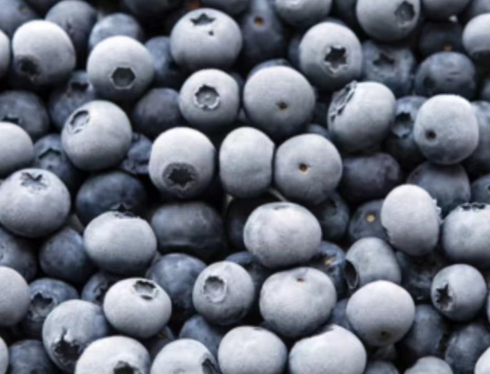 【配料】果干产品目录丨FoodTalks食品雷达-FoodTalks全球食品资讯