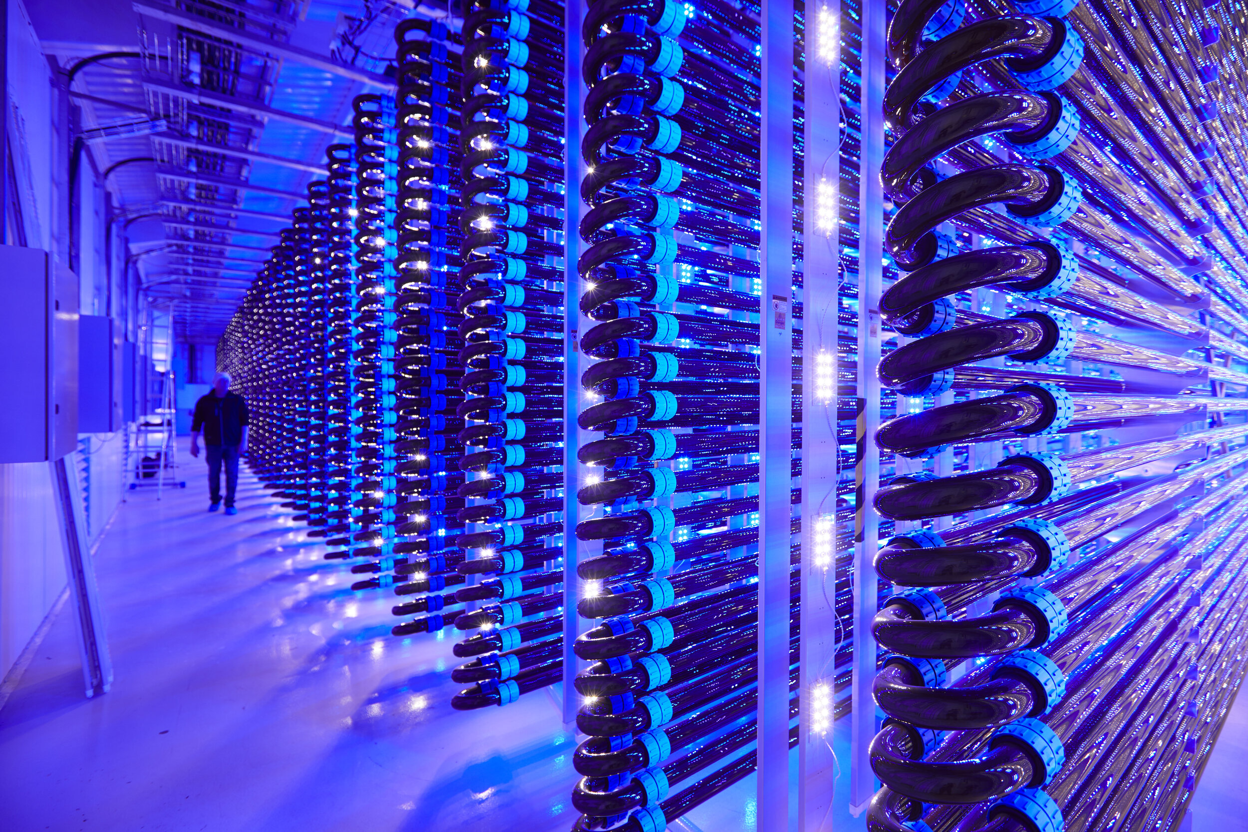 北欧极净 Algalif 天然虾青素（冰岛进口雨生红球藻虾青素） - FoodTalks食品供需平台