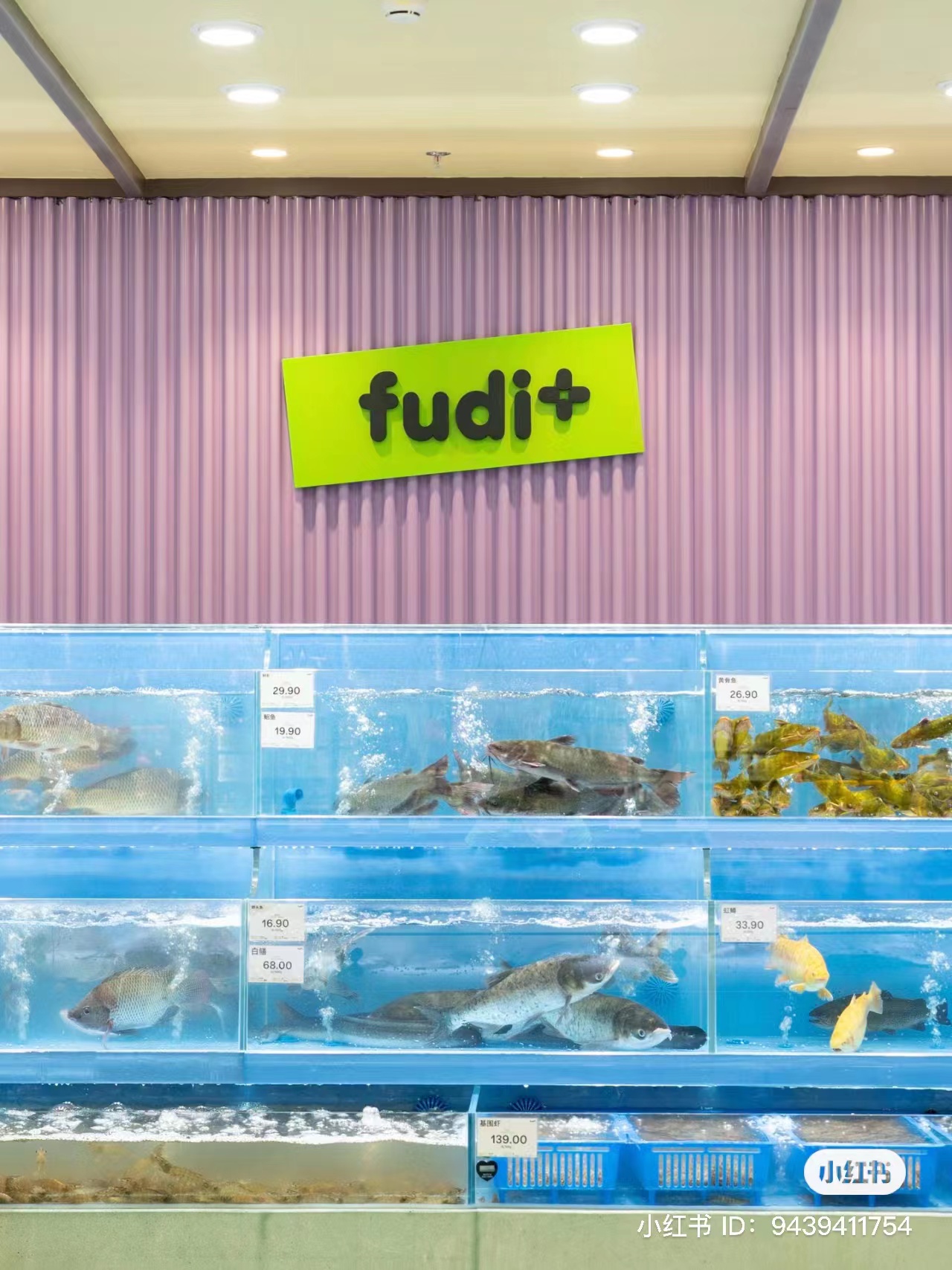 fudi会员店旗下fudi+精选超市开业-FoodTalks