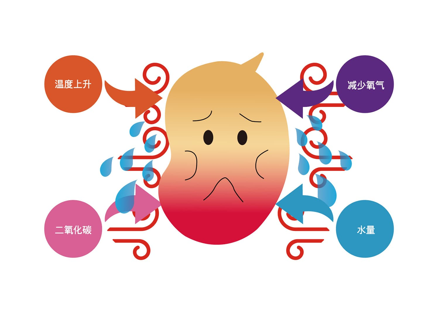 用大豆发芽技术做植物肉，DAIZ获4740万美元C轮融资-FoodTalks全球食品资讯