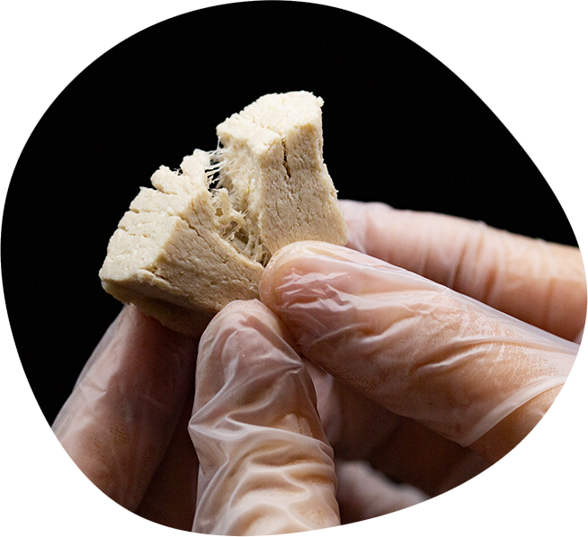 利乐与瑞典食品科技公司Mycorena合作新建真菌蛋白工厂-FoodTalks全球食品资讯