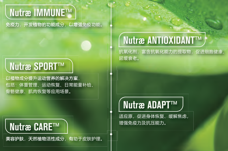 什么是莱茵生物？-FoodTalks全球食品资讯