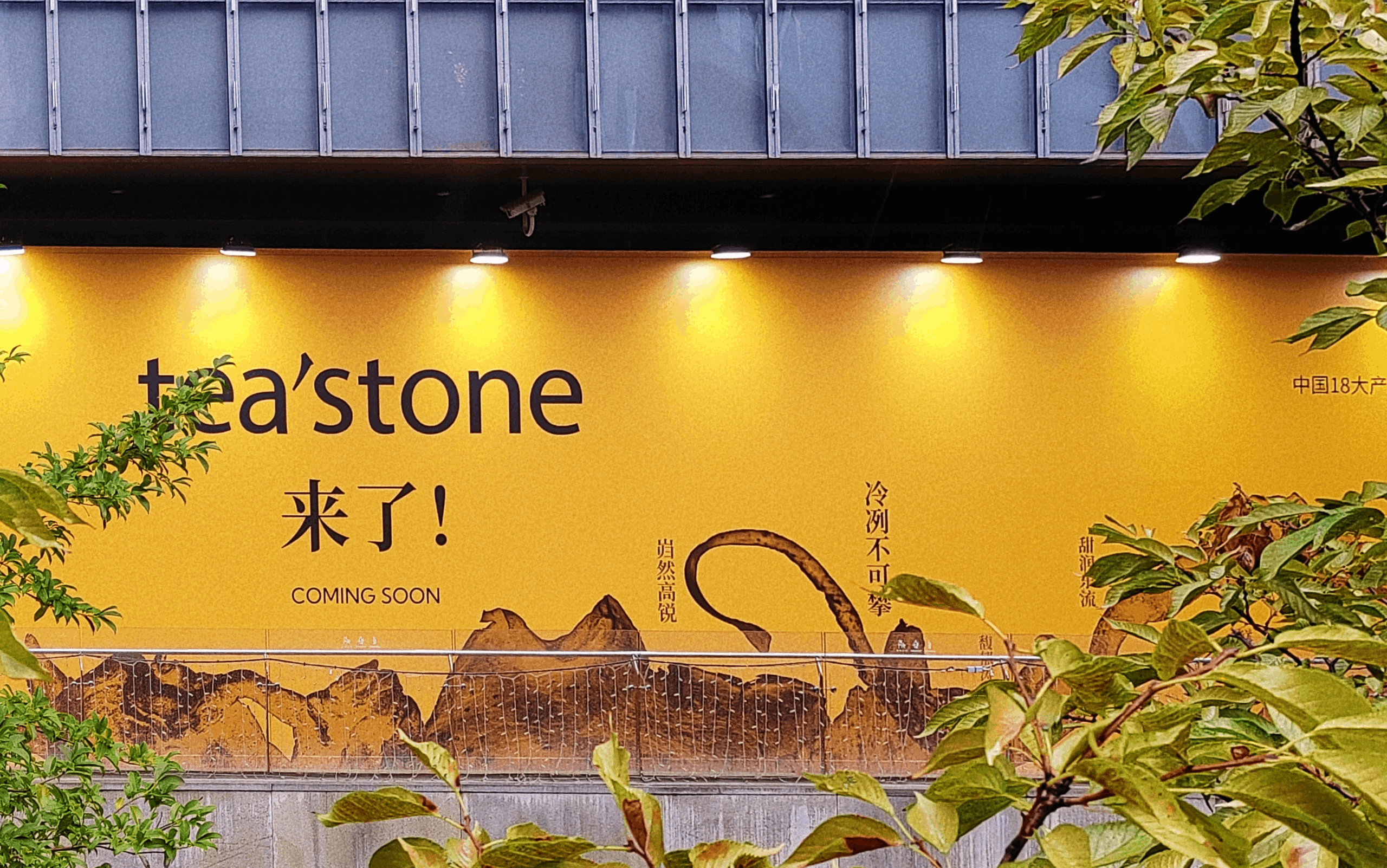 tea'stone浙江首店即将登陆杭州万象城-FoodTalks全球食品资讯