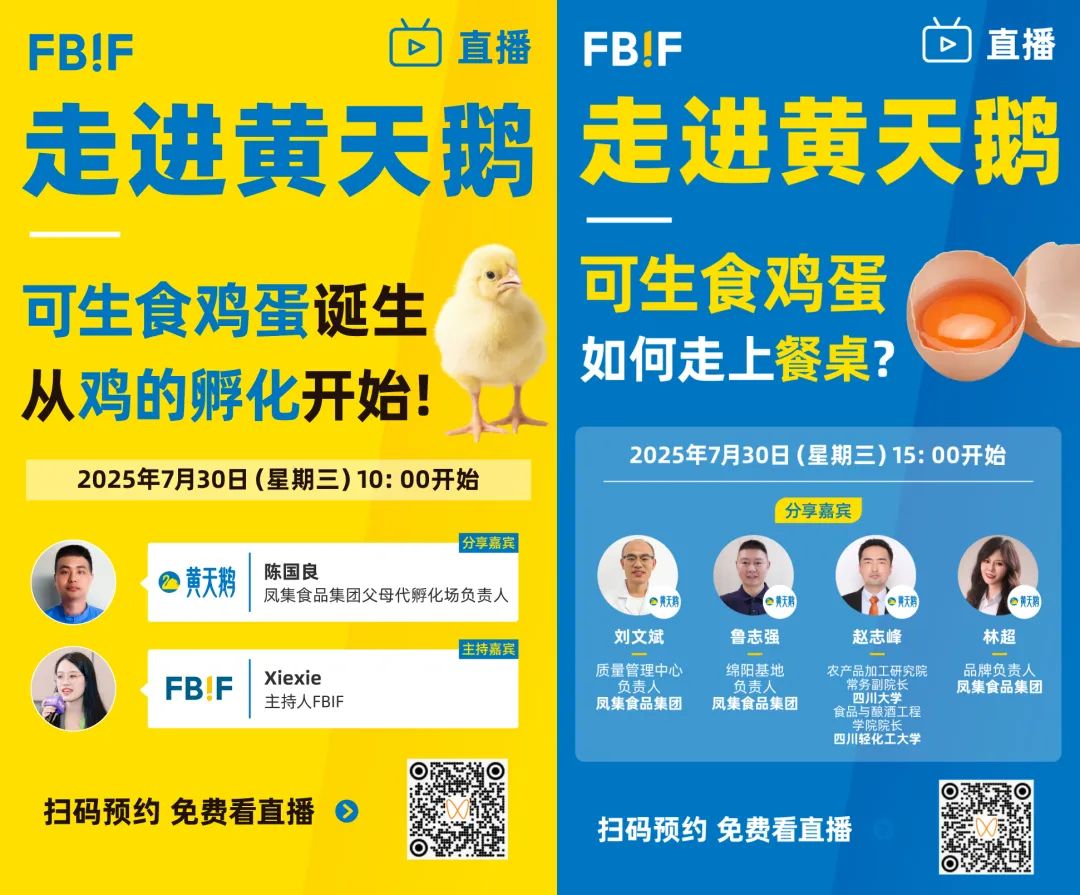 明天10:00 直播 | FBIF走进黄天鹅-FoodTalks全球食品资讯