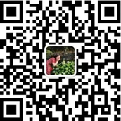 泰莱集团、IFF、罗盖特、艾地盟高层确认出席！ | FBIF2022配料创新分论坛-FoodTalks全球食品资讯