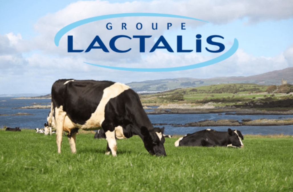 力压雀巢，兰特黎斯如何成为全球乳业龙头？-FoodTalks