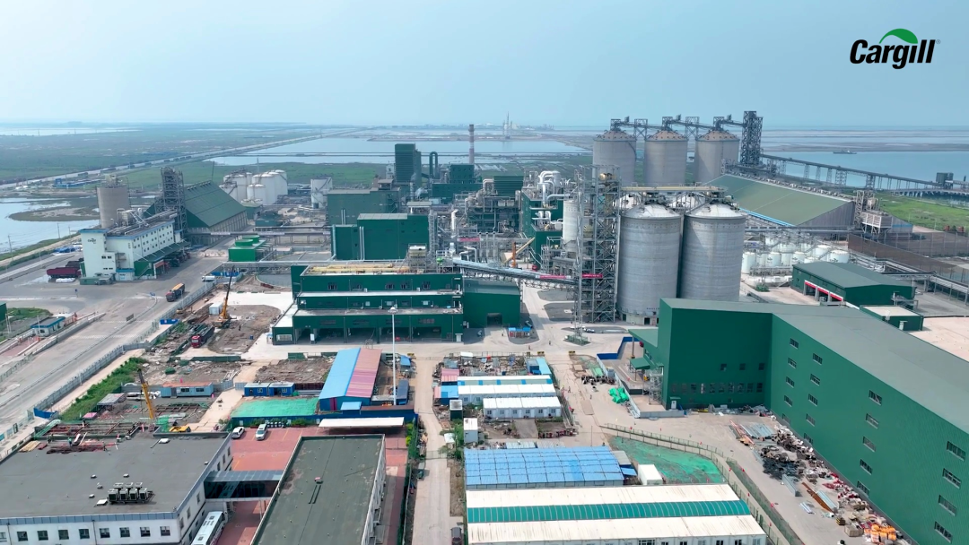 Cargill: From a small barn to a trillion-dollar agricultural supply ...