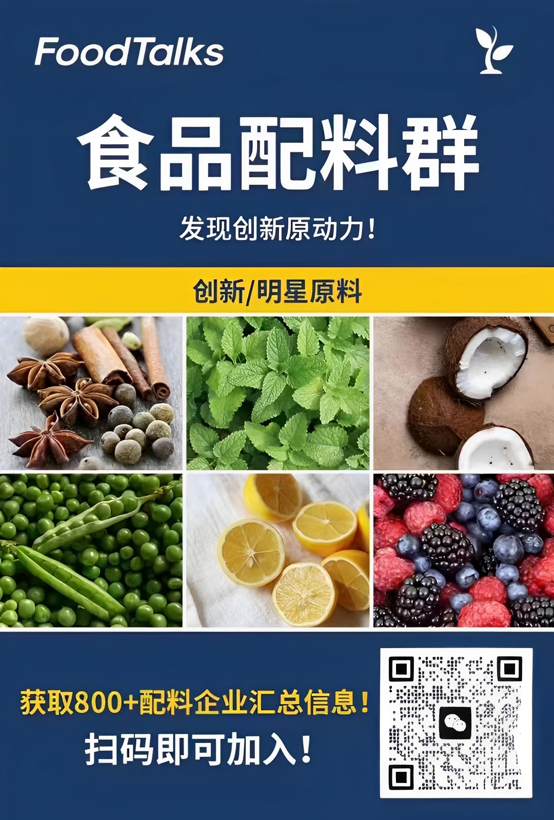 43家维生素原料供应商汇总：励成营养、BGG中国、华恒生物丨FoodTalks供需平台 - FoodTalks食品供需平台