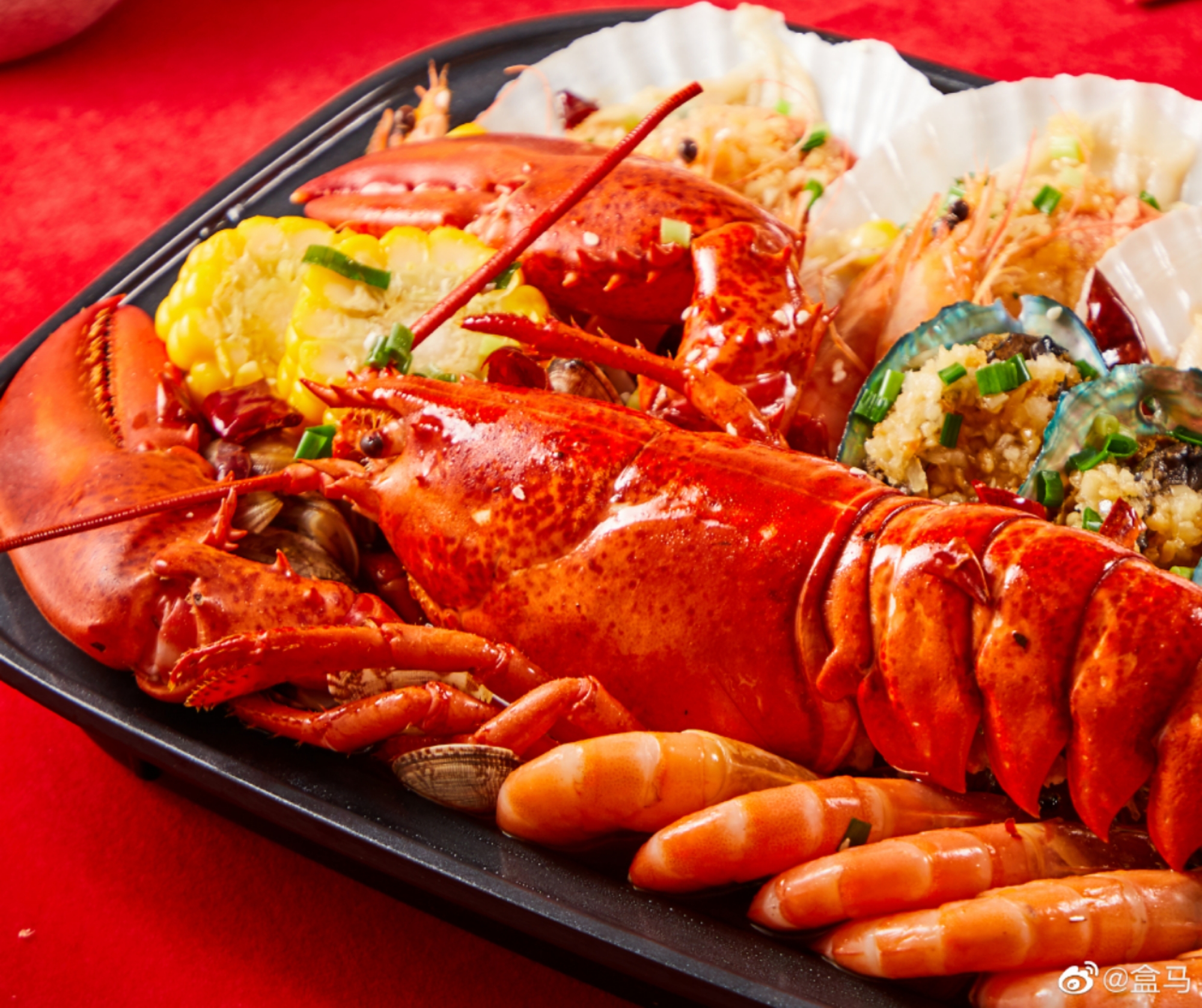 Beyond Better Foods-FoodTalks全球食品资讯网